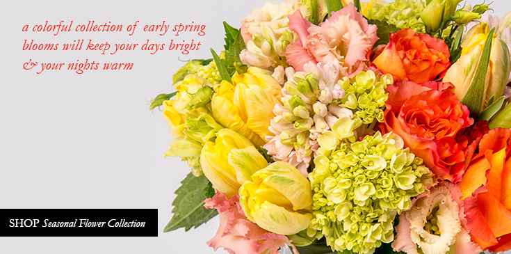 Philadelphia Florist | Robertson's Flowers Philadelphia Flower Delivery