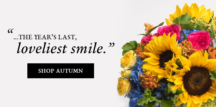 Philadelphia Florist - Robertson's Flowers Philadelphia Flower Delivery