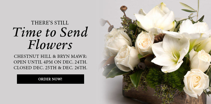 Philadelphia Florist - Robertson's Flowers Philadelphia Flower Delivery