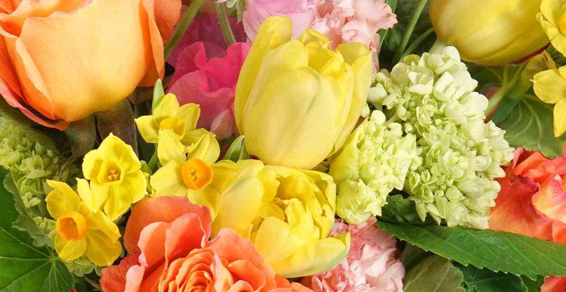 Philadelphia Florist | Philadelphia Flower Delivery | Robertson's Flowers