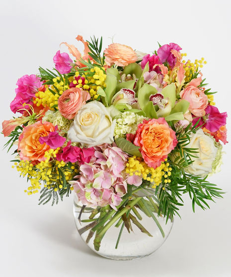 Surf Song Orchid | Plants, Philadelphia Delivery - Robertson's Flowers